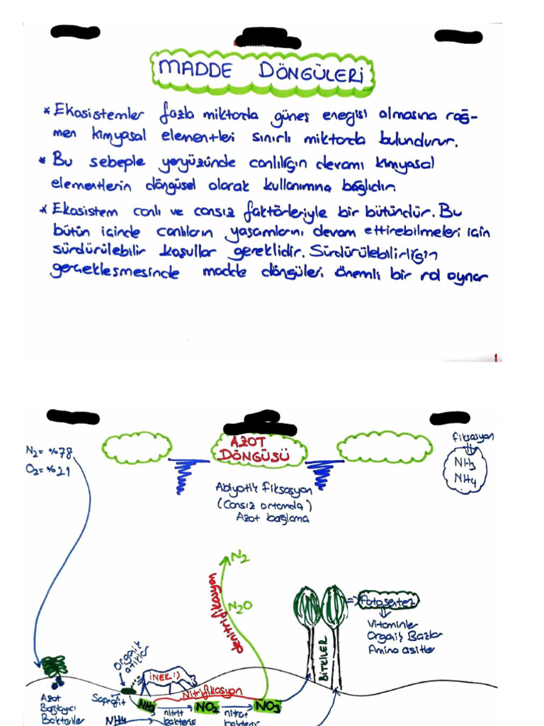 Ekosistem Ekolojisi Pdf