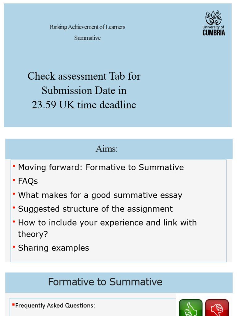 Intro To Summative | PDF | Essays | Experience