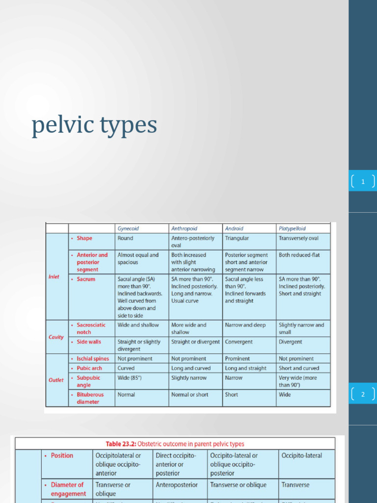 1... Pelvic Types | PDF | Pelvis | Musculoskeletal System