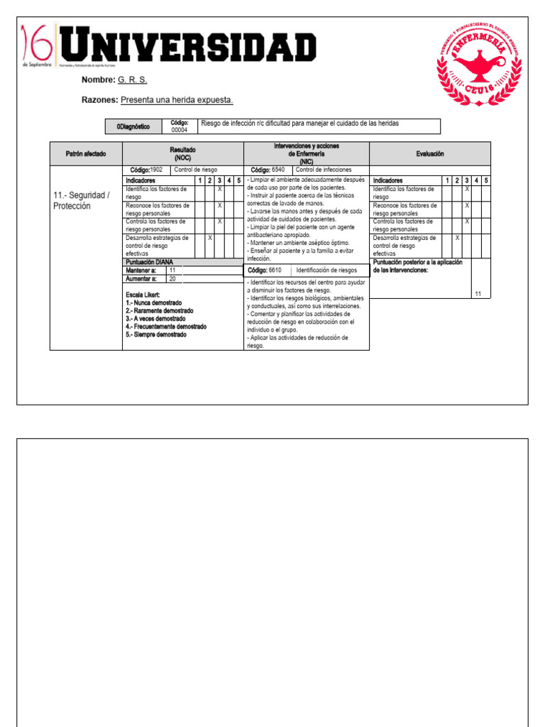 Plan de Cuidados 5 | Descargar gratis PDF | Enfermedades y trastornos | Medicina