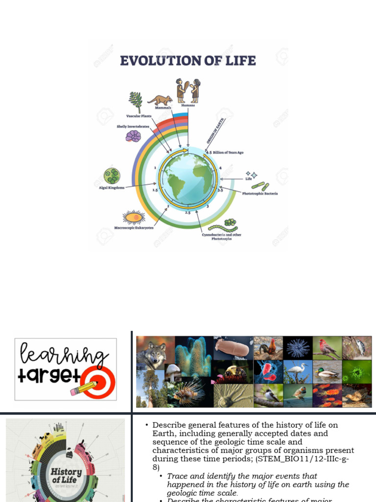 Geologic Time Scale and Life Evolution | PDF | Genetic Diversity ...