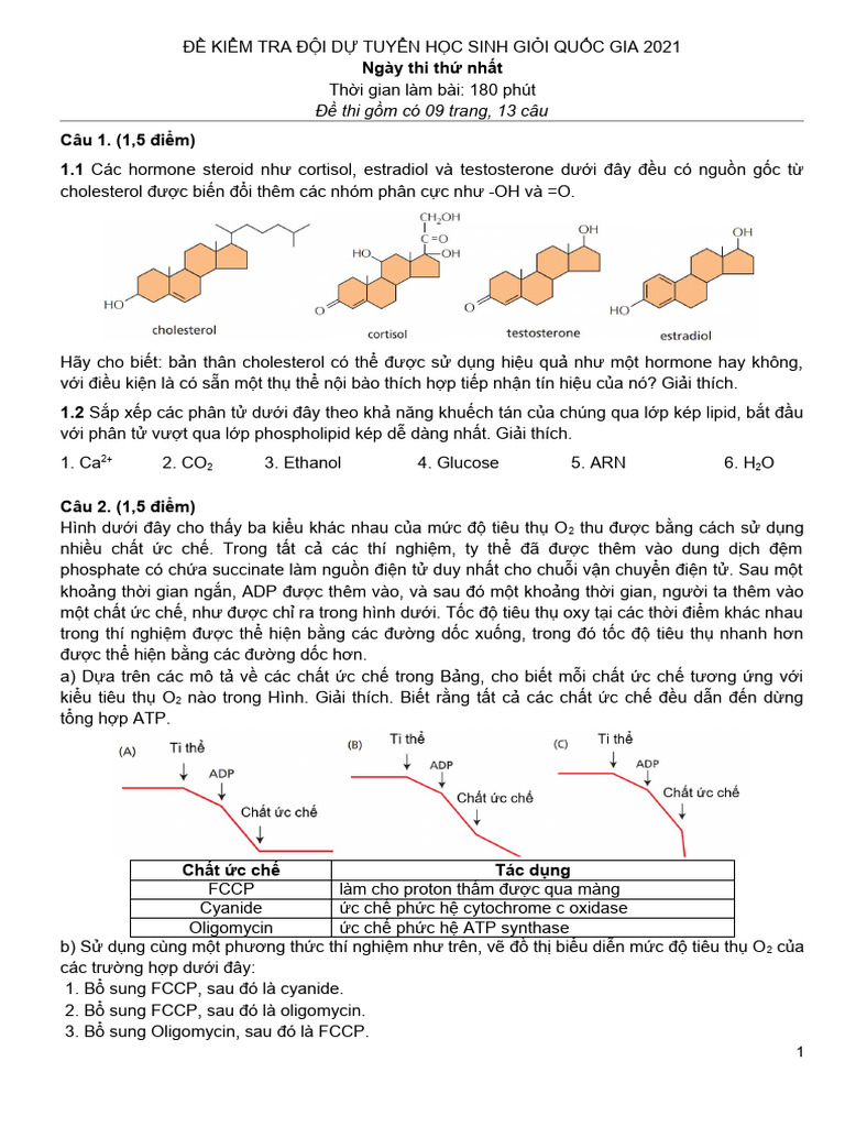 Day 1 Test | PDF