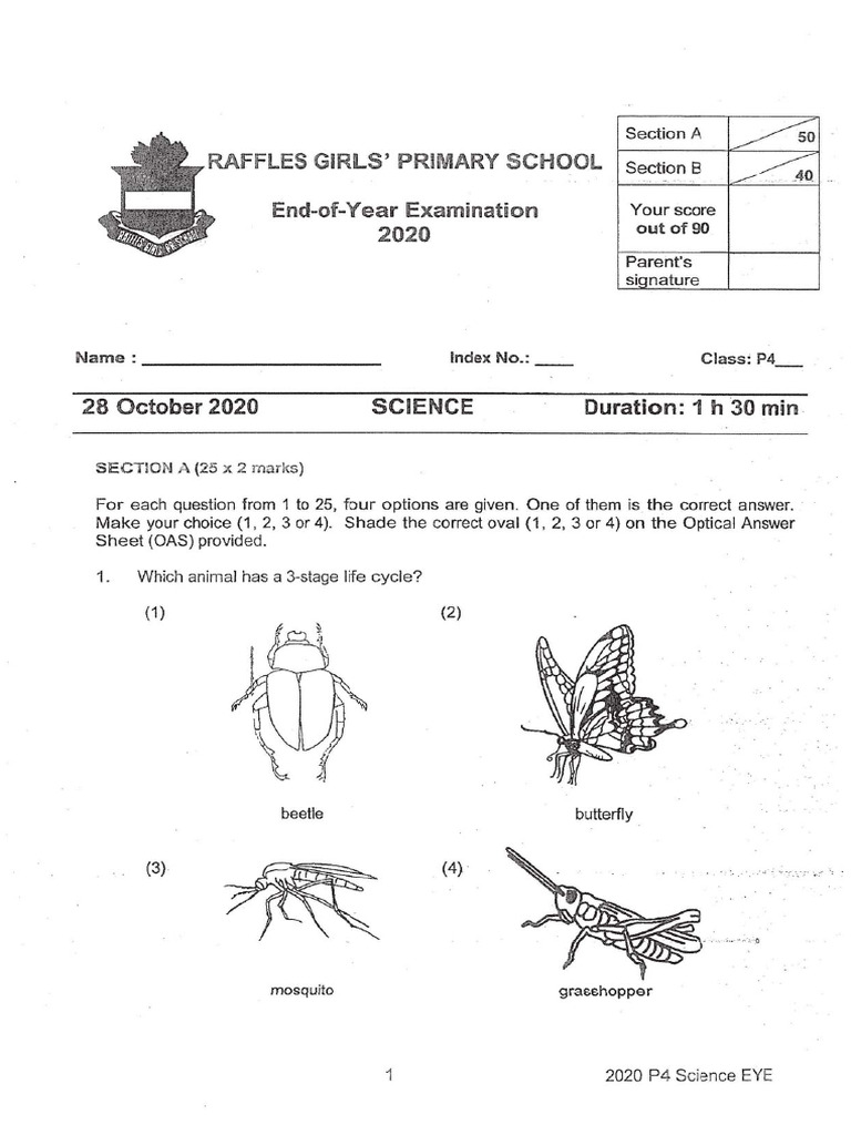 P4 Science 2020 SA2 Raffles Girls' Exam Paper | PDF