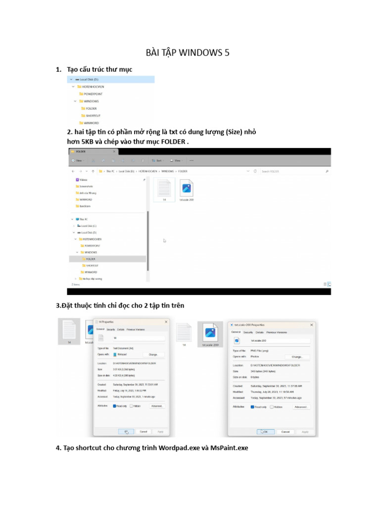 Windows 5 | PDF