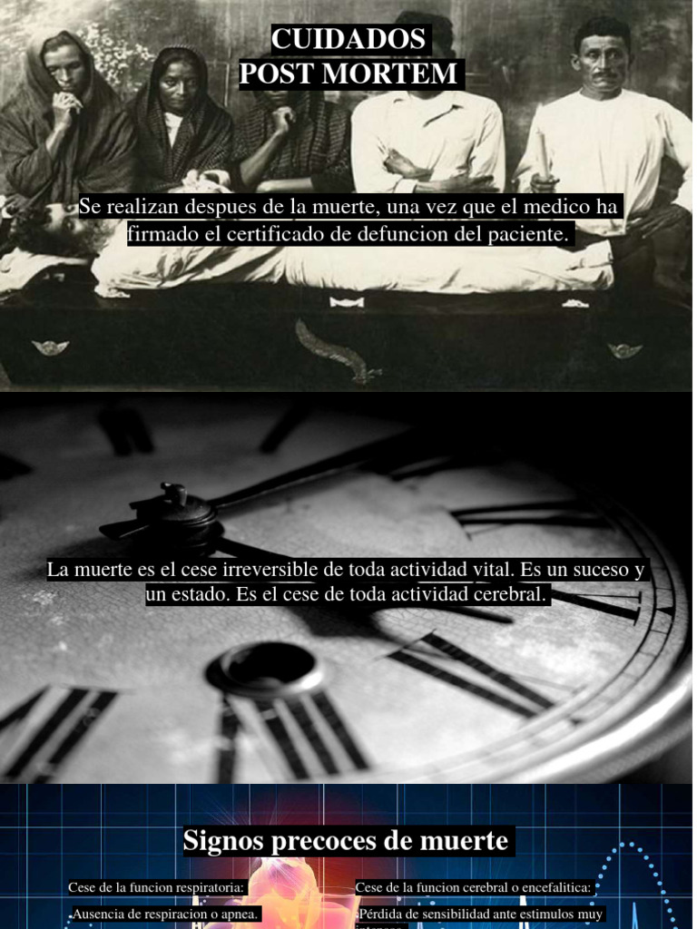 4.cuidados Postmortem | PDF | Medicina CLINICA