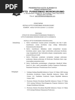 SOP ILP 002 PB 2024 Alur Pelayanan Pasien Kluster 2 | PDF | Sains ...