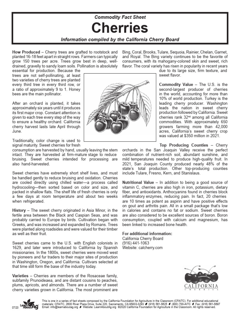 Cherries | PDF | Cherry | Legends