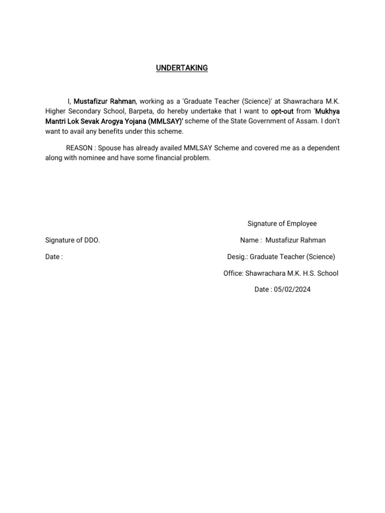 Undertaking Mmlsay | PDF