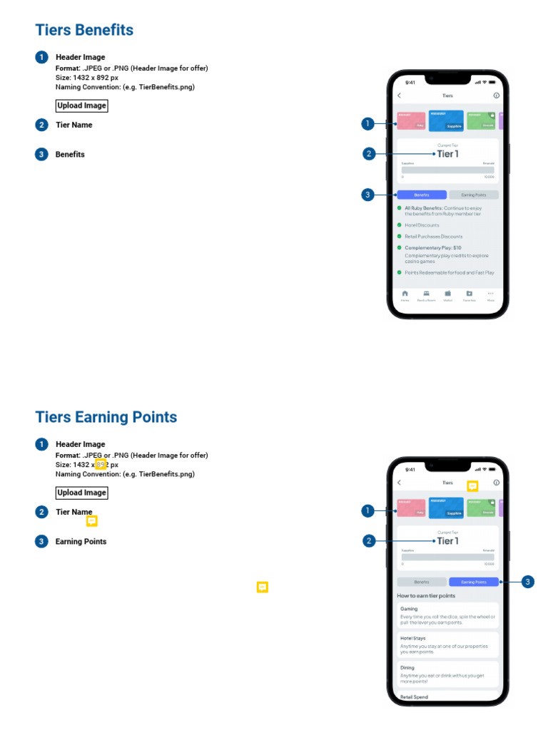 Tier Benefits & Points Guide | PDF | Imaging | Computing
