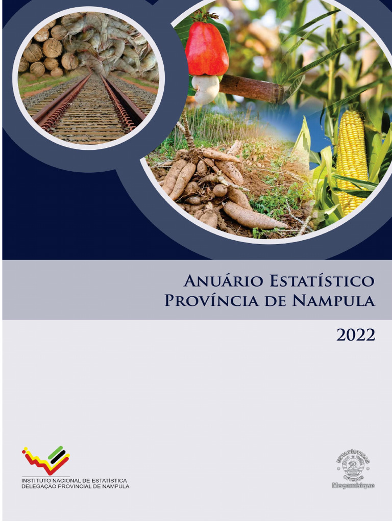 Anuário Estatístico de Nampula 2022 | PDF | Moçambique | Produto ...
