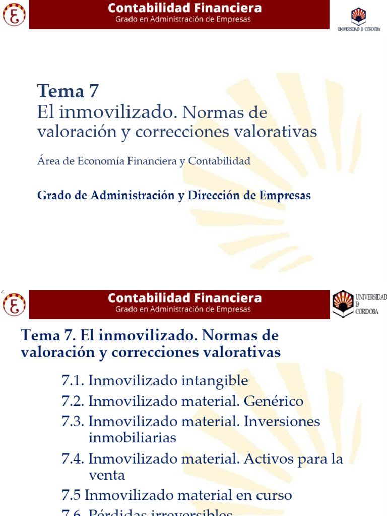 Tema 7. El Inmovilizado. Normas de Valoración y Correcciones Valorativas | PDF | Activo ...
