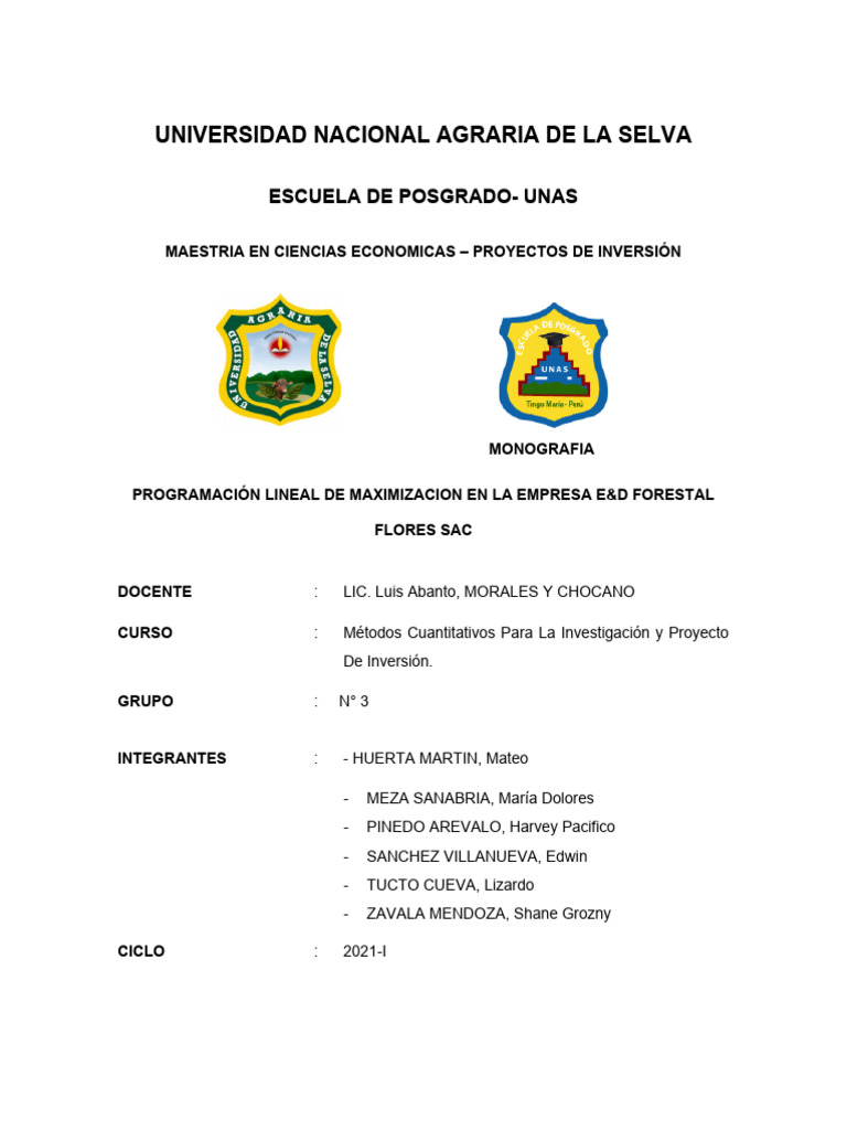 Grupo 3 - Informe Final Ok | PDF | Optimización Matemática | Programación lineal