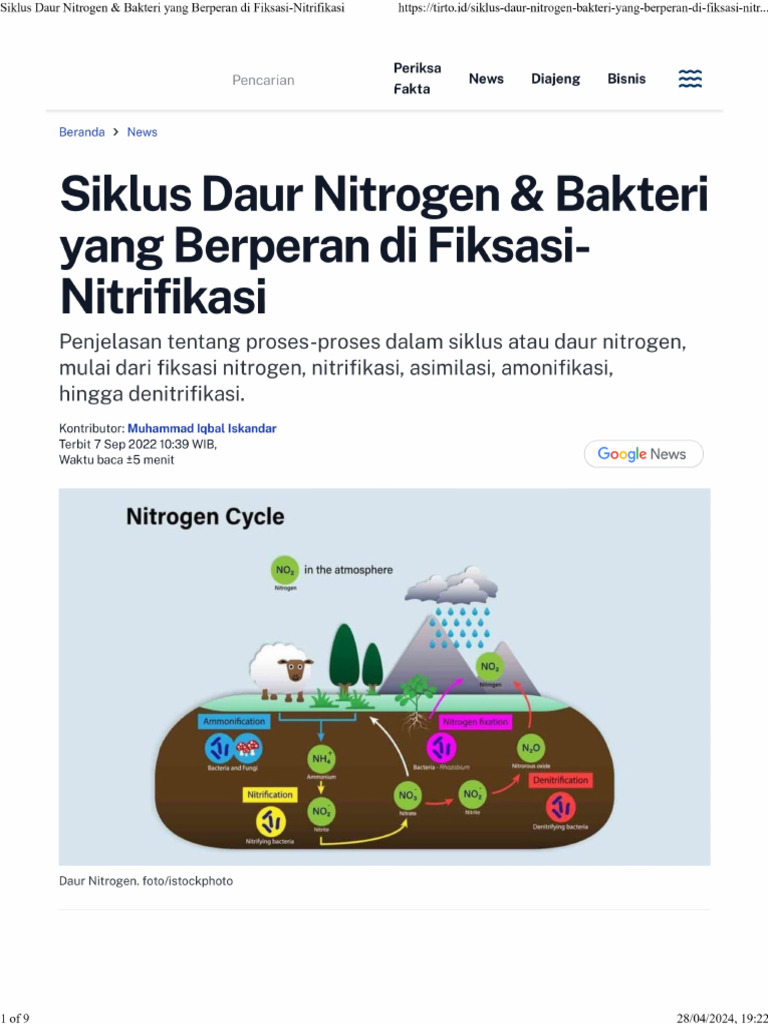 Siklus Nitrogen (Tirto - Id) | PDF