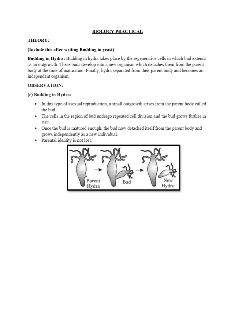 Biology Practical (X) | PDF