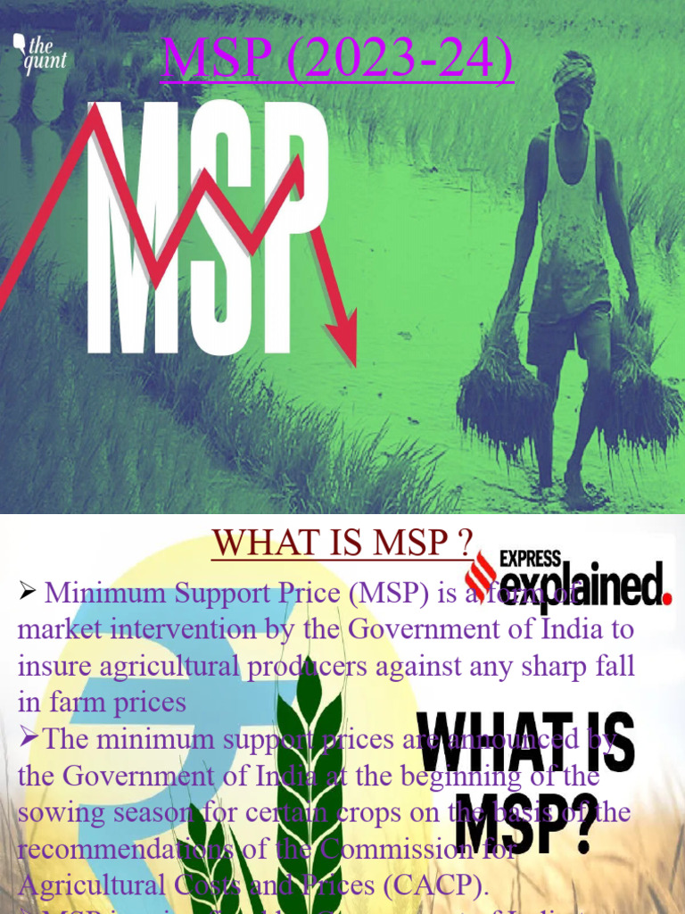 MSP (2023-24) | PDF | Crops | Food Industry