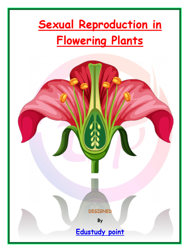 Sexual Reproduction in Flowering Plants | PDF | Seed | Flowers