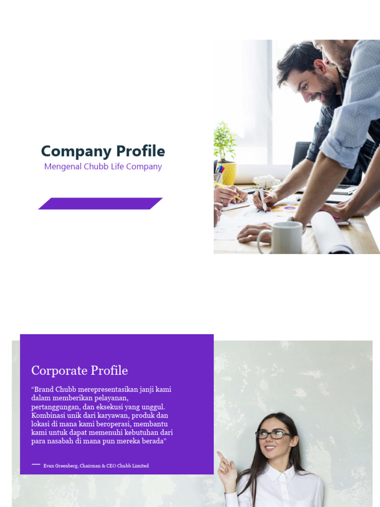 Chubb Life Company Profile Overview | PDF | Financial Services ...