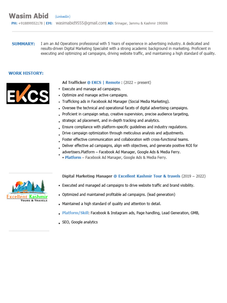 Wasim Abid. CV | PDF | Search Engine Marketing | Digital Marketing