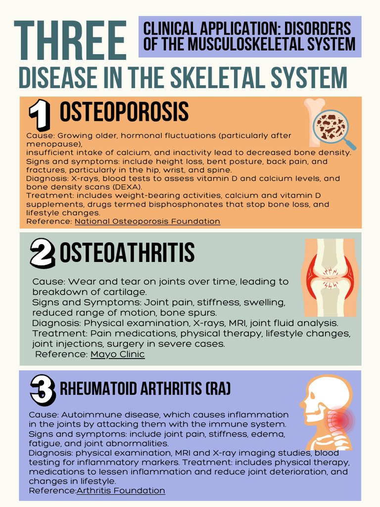 Clinical Application Disorders Of The Musculoskeletal System Jacinto