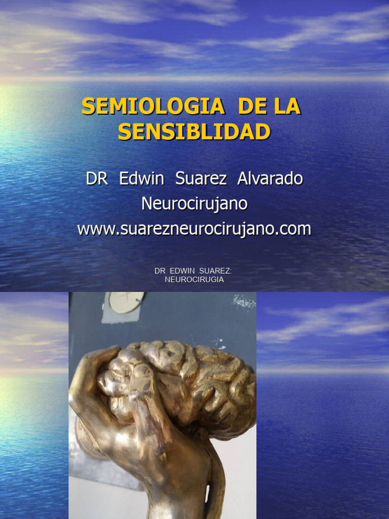 Clase 6 Semio Sensibilidad | PDF | Médula espinal | Sistema nervioso