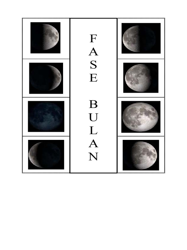 LKPD Fase Bulan | PDF