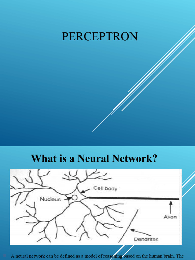 Perceptron | Download Free PDF | Artificial Neural Network | Cognition