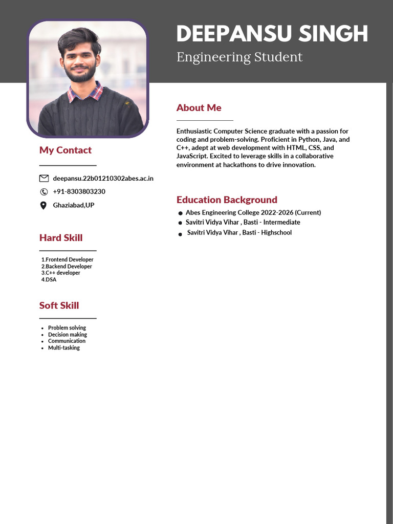 Aspiring Developer's Profile | PDF