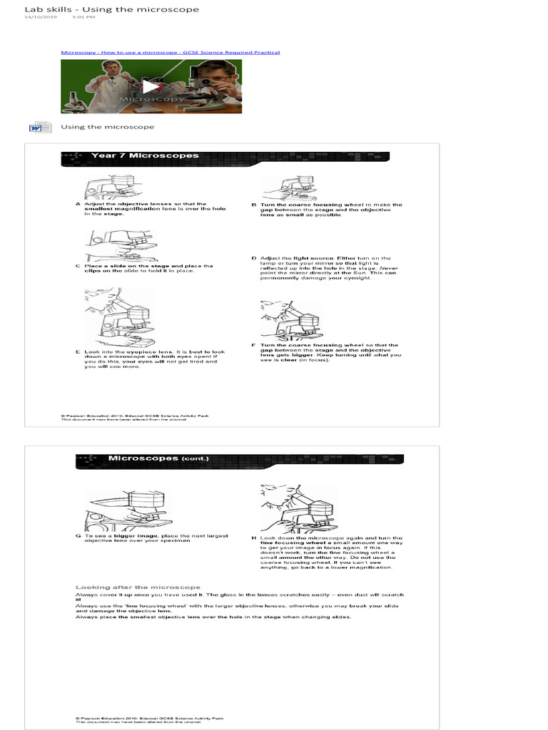 How to Use a Microscope for GCSE | PDF