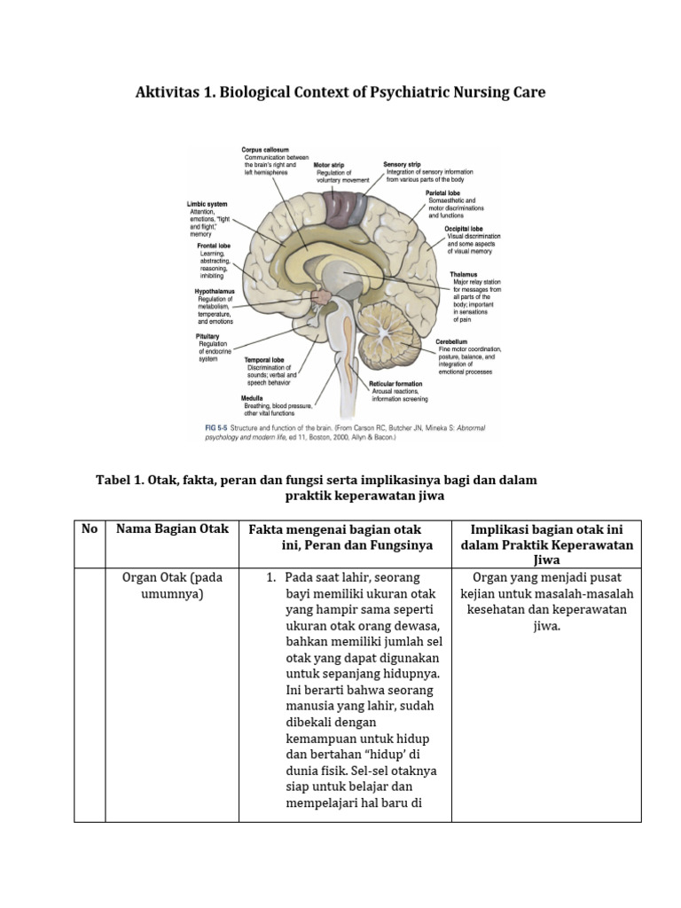 Fungsi Bagian Otak | PDF | Kesehatan Holistik | Sains & Matematika