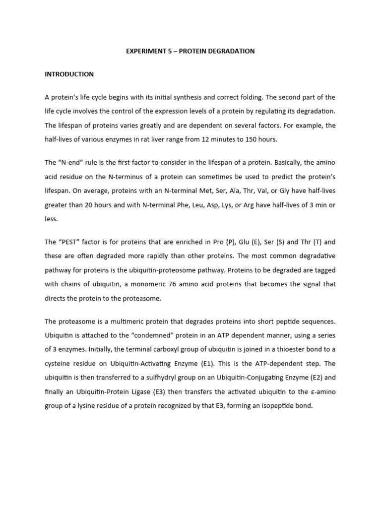 Exp-5 Protein Degradation | PDF | Ubiquitin | Proteasome