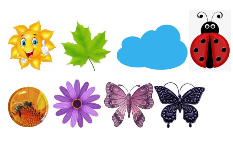 Jetoane Vine Ploaia Cantec | PDF