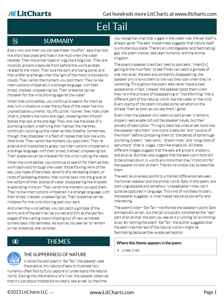 LitCharts Eel Tail | Download Free PDF | Poetry | Moon