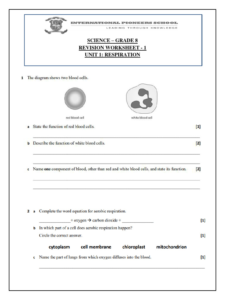 UNIT 1 - WORKSHEET | PDF