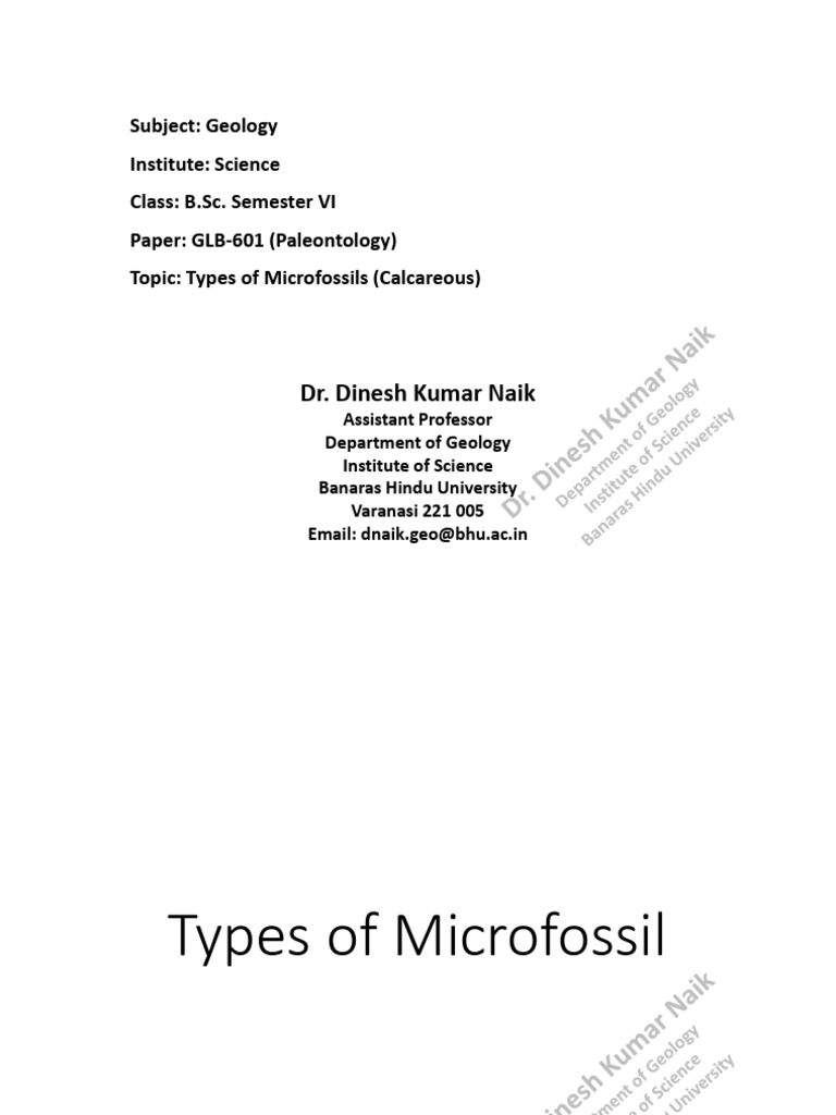 DKN 2_Types of microfossils (Calcareous) | PDF | Earth Sciences ...