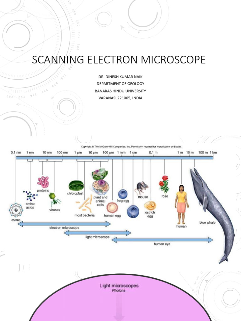 DKN 9 - Scanning Electron Microscope | PDF | Scanning Electron ...