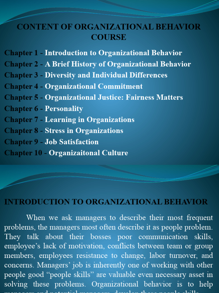 Understanding Organizational Behavior | PDF | Organizational Behavior ...