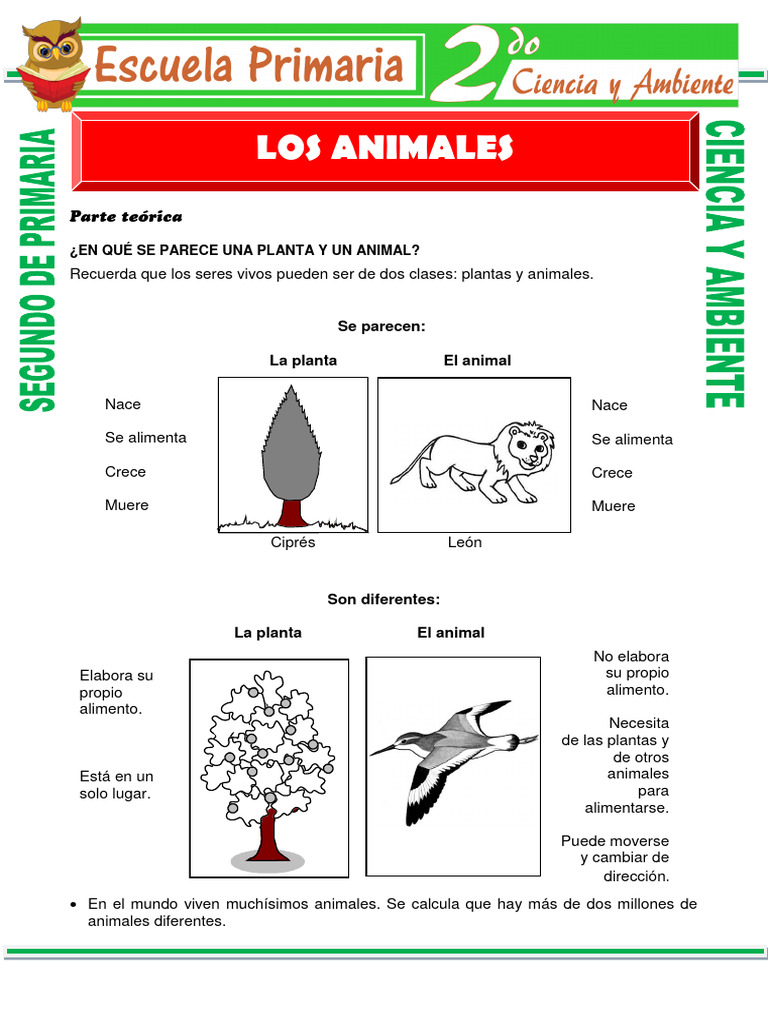 Caracteristicas de Los Animales para Segundo de Primaria | PDF | Zoología
