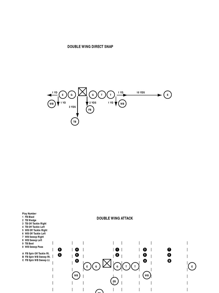 2000 Double Wing Offense | PDF | American Football | Football Codes
