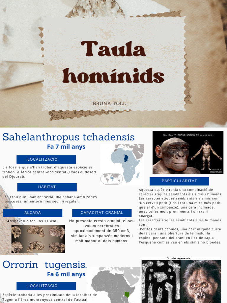 Taula Hominids | PDF