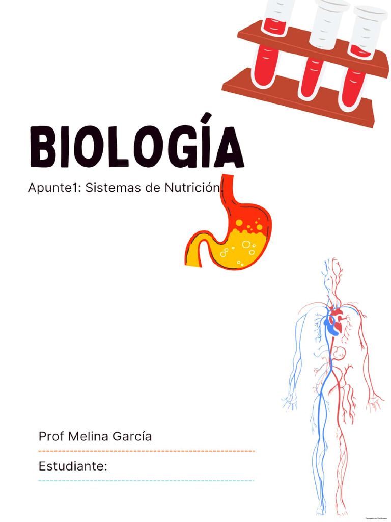 Sist de Nutrici-N 2024 | PDF