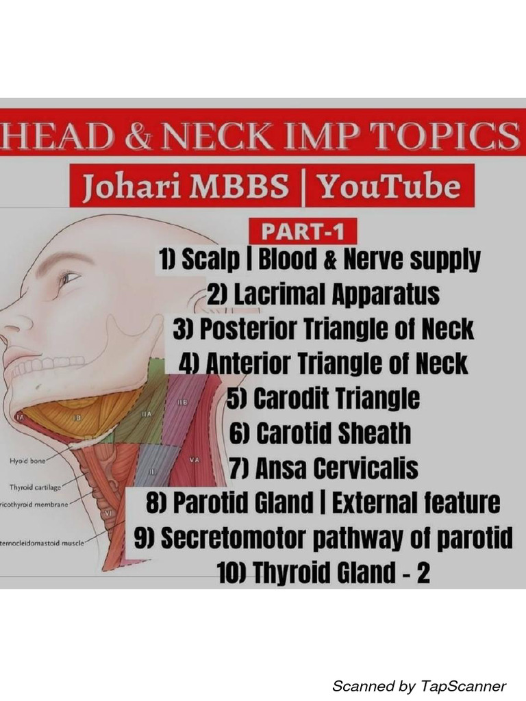 Toaz - Info Head Amp Neck Anatomy Johari Mbbs PR | PDF