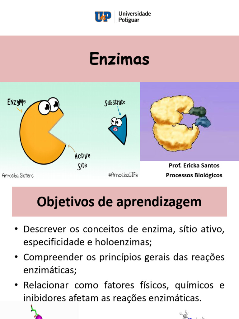 Aula - Enzimas | PDF | Enzima | Inibidor de enzimas