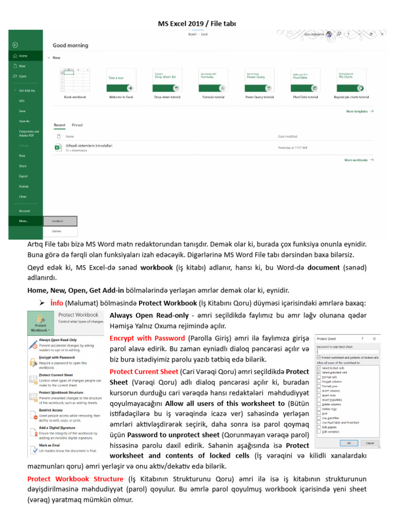 MS Excel File Function | PDF