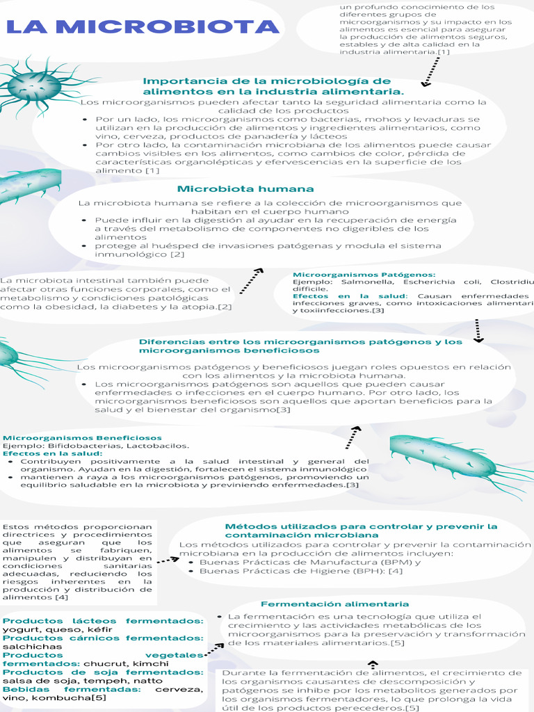 Infografia Microbiota | PDF
