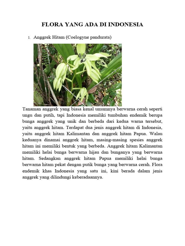 Flora Yang Ada Di Indonesia | PDF