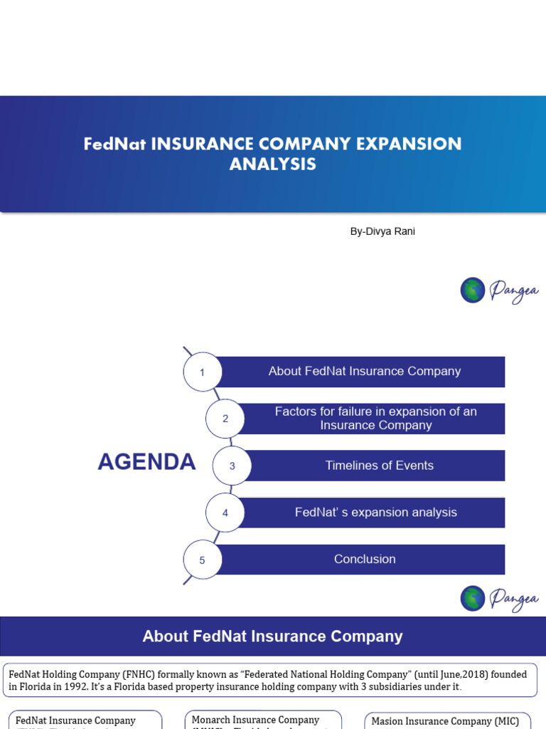 FedNat Insurance Company - CaseStudy | PDF | Insurance | Home Insurance