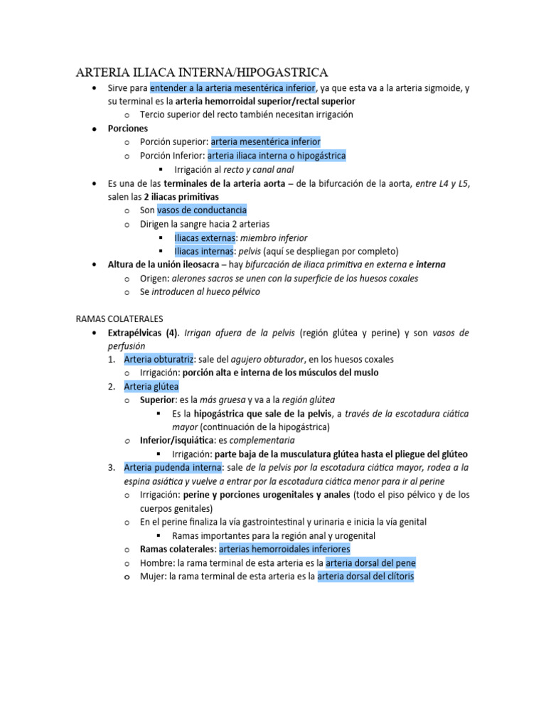 Arteria Iliaca Interna | PDF | Pelvis | Anatomía