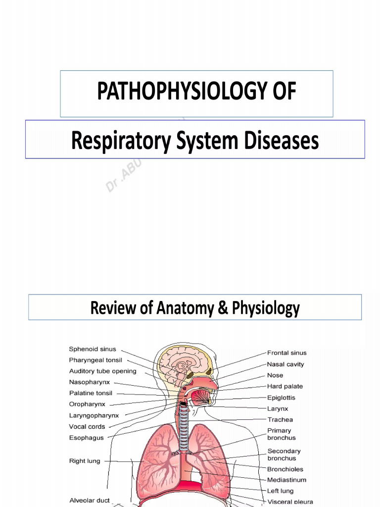 Pathophysiology of Respiratory Disease | PDF