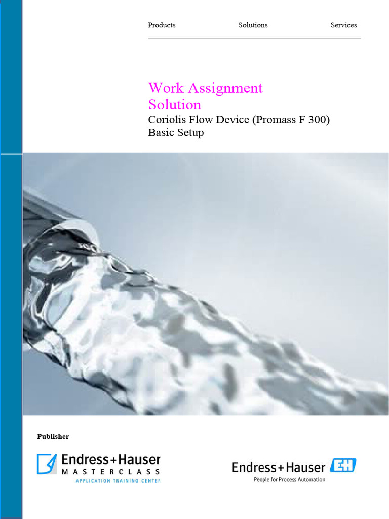 Coriolis - BAS - Promass 300 Basic Setup - WAS - EN - 1.0 | PDF ...