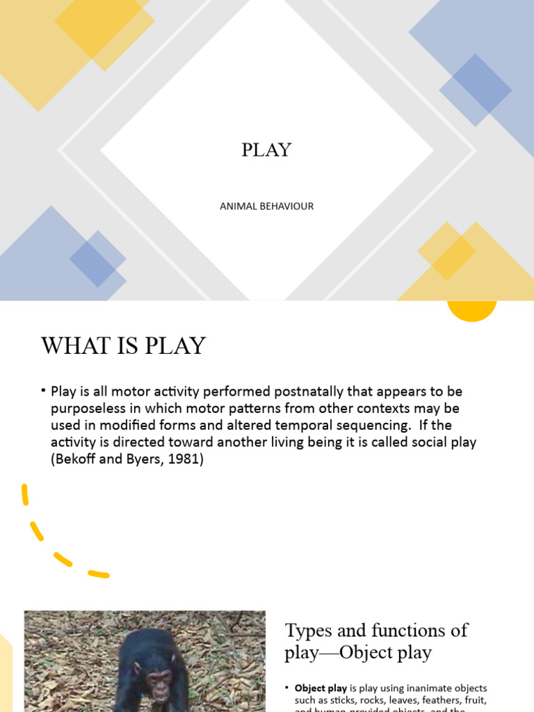 PLAY | PDF | Chimpanzee | Behavioural Sciences